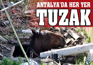 Ya bir çocuk düşseydi